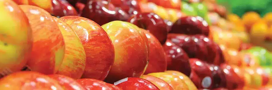 Produce Codes: What Does the Sticker on Your Fruit Really Mean - RMHP ...